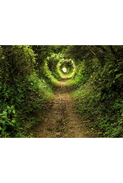 Cici Wallpaper 320 x 270 cm 3 Boyutlu Duvar Kağıdı Poster