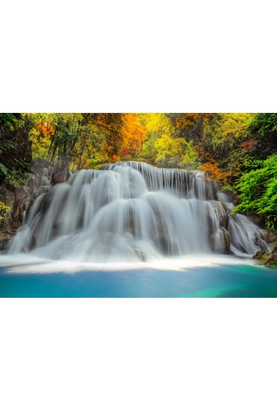 Cici Wallpaper 215 x 150 cm 3 Boyutlu Duvar Kağıdı Poster