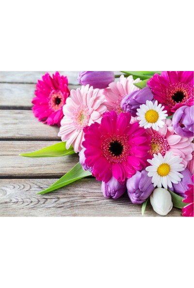 Cici Wallpaper 320 x 200 cm 3 Boyutlu Duvar Kağıdı Poster