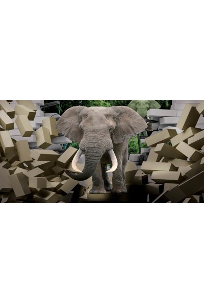 Cici Wallpaper 320 x 270 cm 3 Boyutlu Duvar Kağıdı Poster Cici Wallpaper 320 x 270 cm 3 Boyutlu Duvar Kağıdı Poster