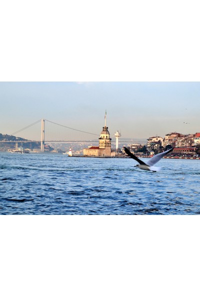 Cici Wallpaper 215 x 150 cm 3 Boyutlu Duvar Kağıdı Poster