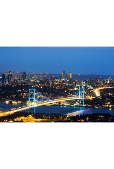 Cici Wallpaper 320 x 270 cm 3 Boyutlu Duvar Kağıdı Poster