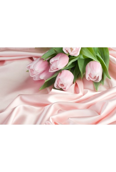 Cici Wallpaper 215 x 150 cm 3 Boyutlu Duvar Kağıdı Poster