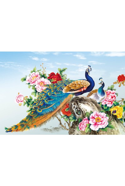 Cici Wallpaper 215 x 150 cm 3 Boyutlu Duvar Kağıdı Poster