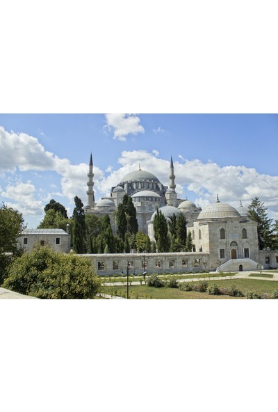 Cici Wallpaper 320 x 200 cm 3 Boyutlu Duvar Kağıdı Poster Cici Wallpaper 320 x 200 cm 3 Boyutlu Duvar Kağıdı Poster