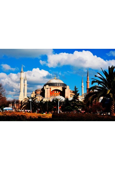 Cici Wallpaper 320 x 200 cm 3 Boyutlu Duvar Kağıdı Poster