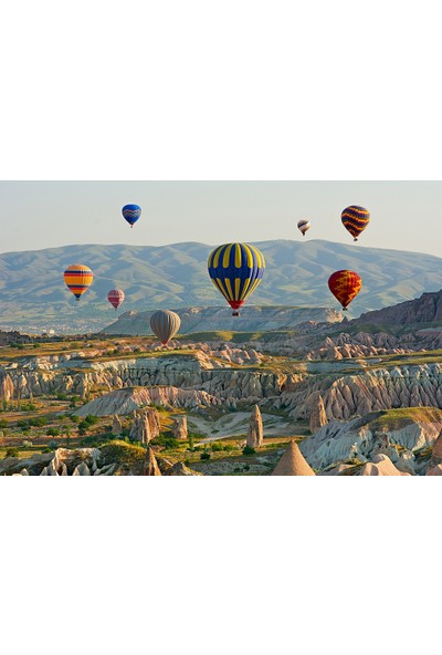 Cici Wallpaper 320 x 200 cm 3 Boyutlu Duvar Kağıdı Poster