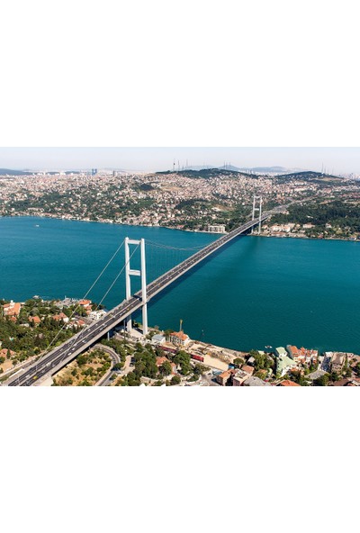 Cici Wallpaper 320 x 200 cm 3 Boyutlu Duvar Kağıdı Poster