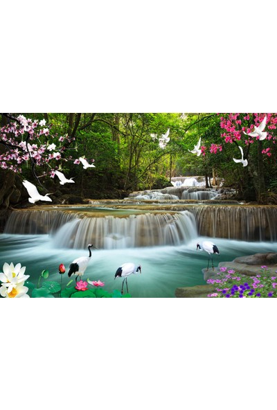 Cici Wallpaper 215 x 150 cm 3 Boyutlu Duvar Kağıdı Poster