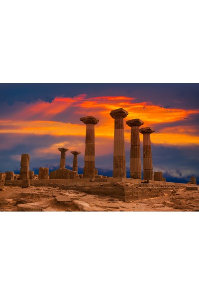 Cici Wallpaper 320 x 270 cm 3 Boyutlu Duvar Kağıdı Poster