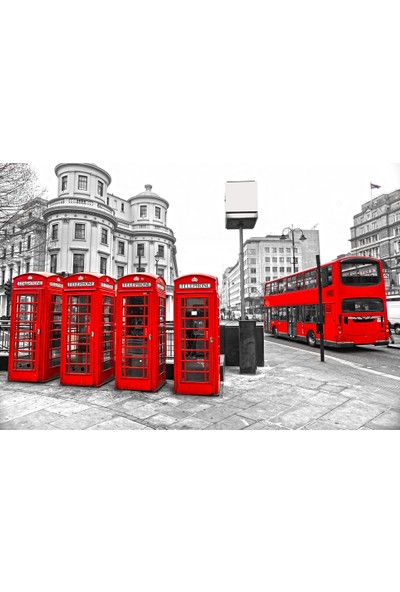 Cici Wallpaper 215 x 150 cm 3 Boyutlu Duvar Kağıdı Poster