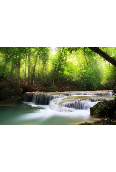 Cici Wallpaper 320 x 200 cm 3 Boyutlu Duvar Kağıdı Poster