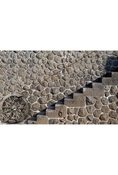 Cici Wallpaper 320 x 270 cm 3 Boyutlu Duvar Kağıdı Poster