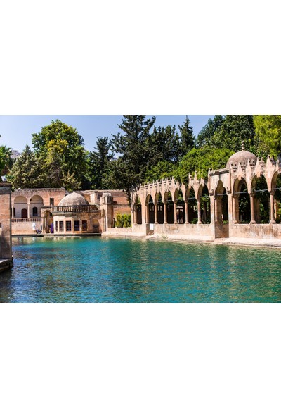 Cici Wallpaper 320 x 270 cm 3 Boyutlu Duvar Kağıdı Poster