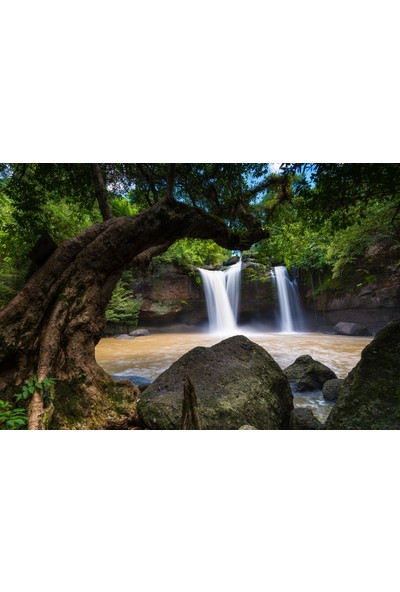 Cici Wallpaper 320 x 270 cm 3 Boyutlu Duvar Kağıdı Poster