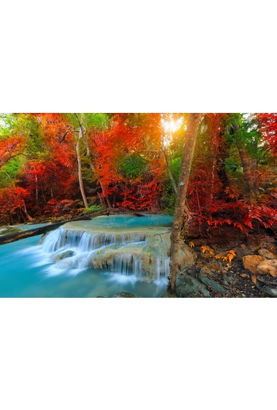 Cici Wallpaper 320 x 270 cm 3 Boyutlu Duvar Kağıdı Poster