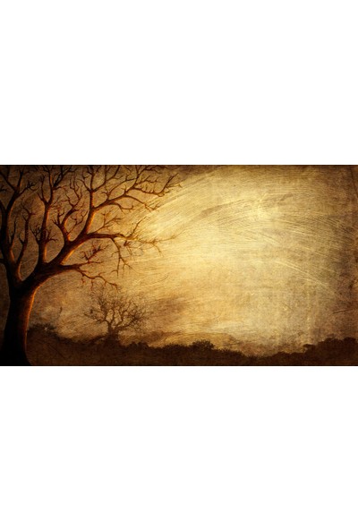 Cici Wallpaper 320 x 270 cm 3 Boyutlu Duvar Kağıdı Poster