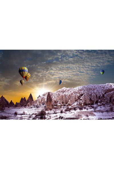 Cici Wallpaper 320 x 200 cm 3 Boyutlu Duvar Kağıdı Poster