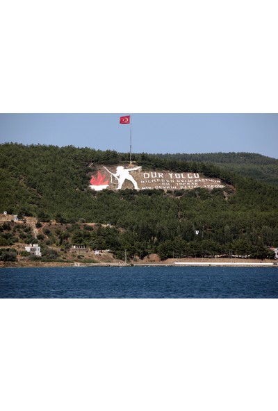 Cici Wallpaper 215 x 150 cm 3 Boyutlu Duvar Kağıdı Poster