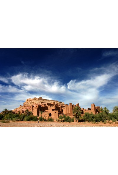 Cici Wallpaper 320 x 270 cm 3 Boyutlu Duvar Kağıdı Poster Cici Wallpaper 320 x 270 cm 3 Boyutlu Duvar Kağıdı Poster