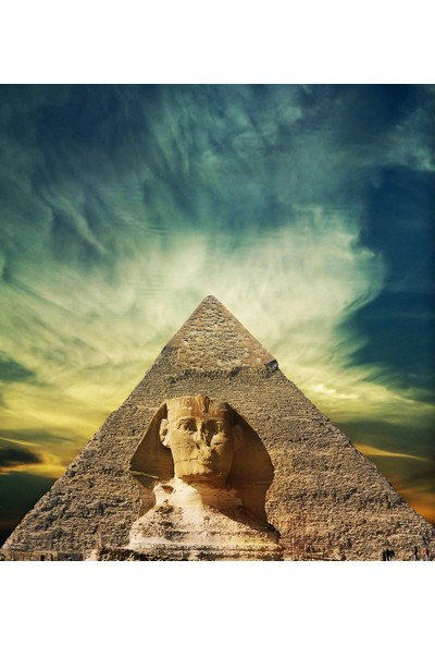 Cici Wallpaper 320 x 270 cm 3 Boyutlu Duvar Kağıdı Poster