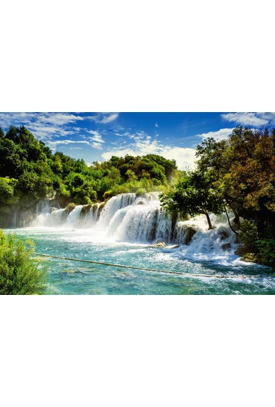 Cici Wallpaper 320 x 200 cm 3 Boyutlu Duvar Kağıdı Poster