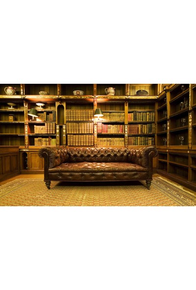 Cici Wallpaper 320 x 270 cm 3 Boyutlu Duvar Kağıdı Poster