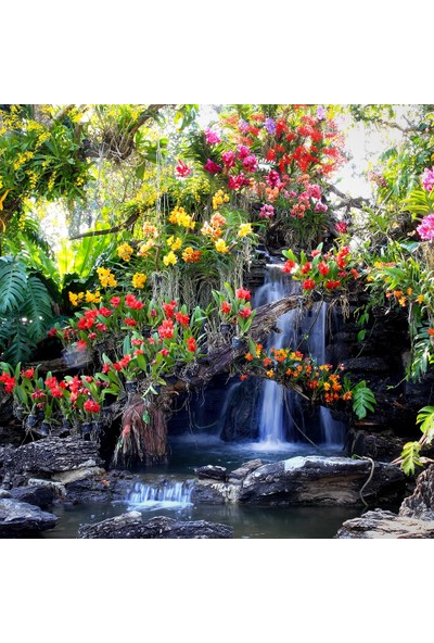 Cici Wallpaper 320 x 270 cm 3 Boyutlu Duvar Kağıdı Poster Cici Wallpaper 320 x 270 cm 3 Boyutlu Duvar Kağıdı Poster