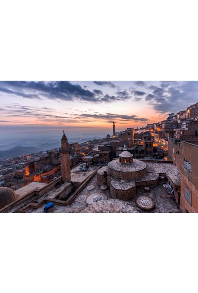 Cici Wallpaper 215 x 150 cm 3 Boyutlu Duvar Kağıdı Poster