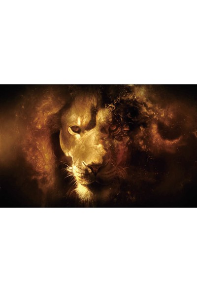 Cici Wallpaper 320 x 270 cm 3 Boyutlu Duvar Kağıdı Poster