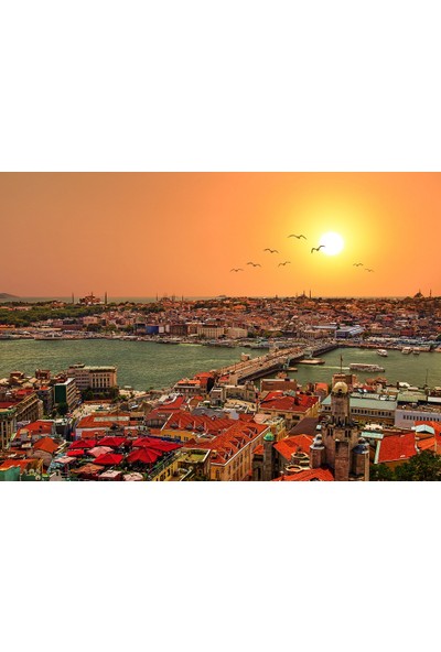 Cici Wallpaper 320 x 200 cm 3 Boyutlu Duvar Kağıdı Poster