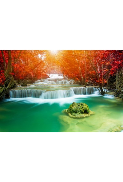 Cici Wallpaper 320 x 270 cm 3 Boyutlu Duvar Kağıdı Poster