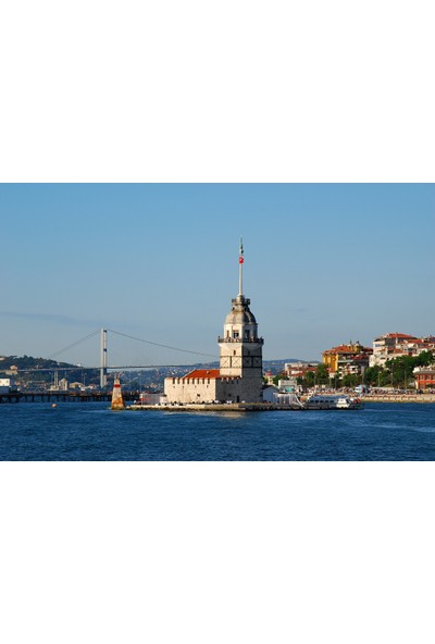 Cici Wallpaper 320 x 270 cm 3 Boyutlu Duvar Kağıdı Poster