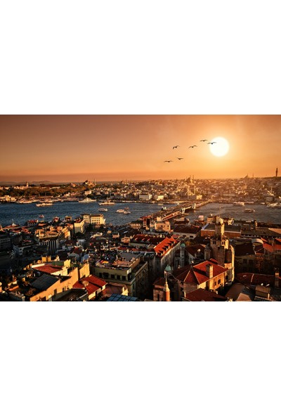 Cici Wallpaper 215 x 150 cm 3 Boyutlu Duvar Kağıdı Poster