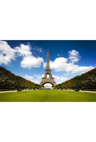 Cici Wallpaper 320 x 270 cm 3 Boyutlu Duvar Kağıdı Poster