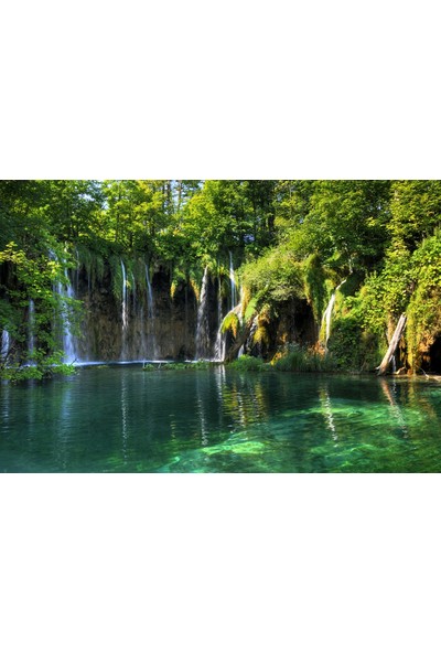 Cici Wallpaper 215 x 150 cm 3 Boyutlu Duvar Kağıdı Poster