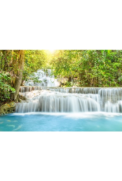 Cici Wallpaper 320 x 270 cm 3 Boyutlu Duvar Kağıdı Poster Cici Wallpaper 320 x 270 cm 3 Boyutlu Duvar Kağıdı Poster