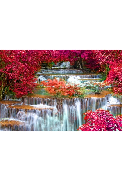 Cici Wallpaper 320 x 200 cm 3 Boyutlu Duvar Kağıdı Poster