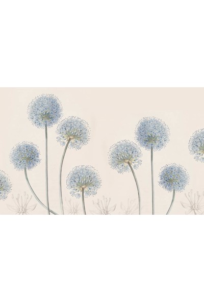 Cici Wallpaper 215 x 150 cm 3 Boyutlu Duvar Kağıdı Poster