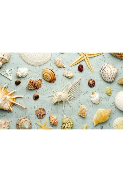 Cici Wallpaper 320 x 270 cm 3 Boyutlu Duvar Kağıdı Poster