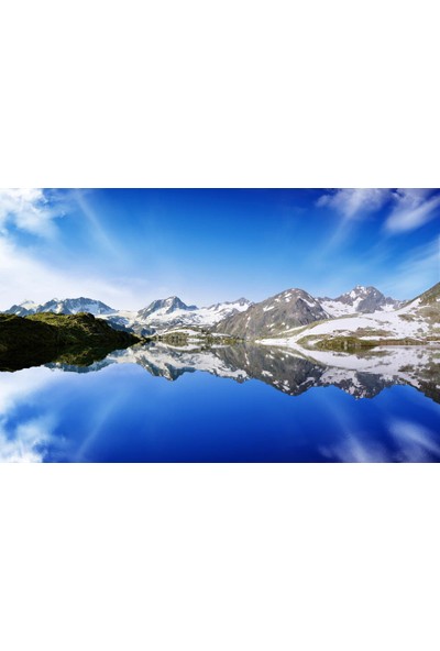 Cici Wallpaper 320 x 270 cm 3 Boyutlu Duvar Kağıdı Poster Cici Wallpaper 320 x 270 cm 3 Boyutlu Duvar Kağıdı Poster