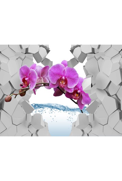 Cici Wallpaper 215 x 150 cm 3 Boyutlu Duvar Kağıdı Poster