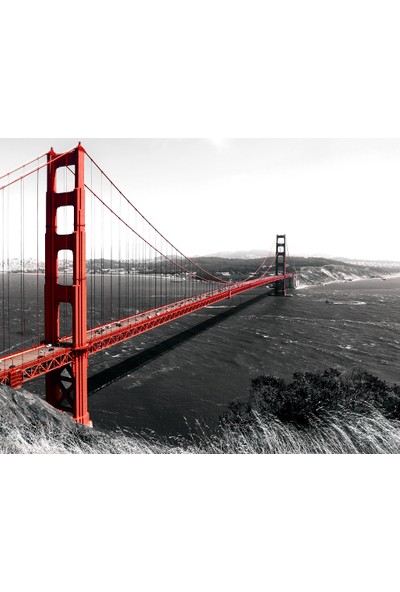 Cici Wallpaper 215 x 150 cm 3 Boyutlu Duvar Kağıdı Poster