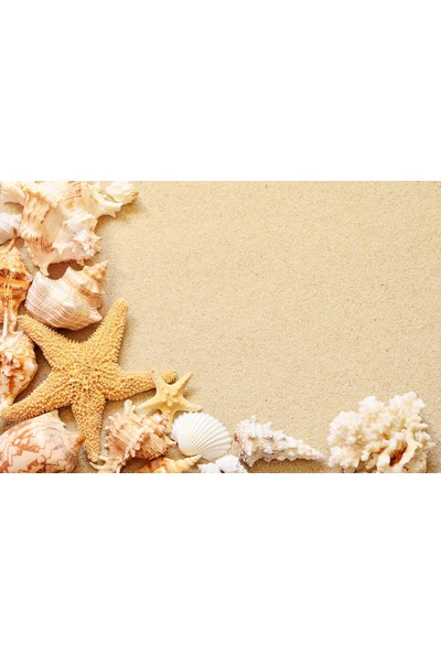 Cici Wallpaper 215 x 150 cm 3 Boyutlu Duvar Kağıdı Poster