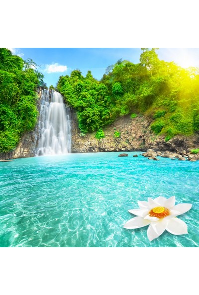 Cici Wallpaper 215 x 150 cm 3 Boyutlu Duvar Kağıdı Poster Cici Wallpaper 215 x 150 cm 3 Boyutlu Duvar Kağıdı Poster