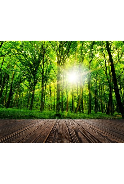 Cici Wallpaper 215 x 150 cm 3 Boyutlu Duvar Kağıdı Poster