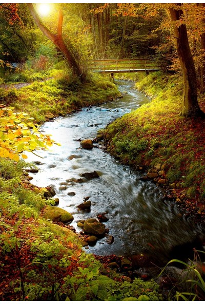 Cici Wallpaper 215 x 150 cm 3 Boyutlu Duvar Kağıdı Poster Cici Wallpaper 215 x 150 cm 3 Boyutlu Duvar Kağıdı Poster