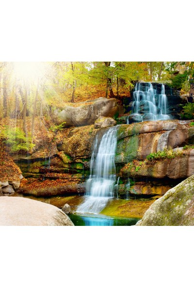 Cici Wallpaper 215 x 150 cm 3 Boyutlu Duvar Kağıdı Poster Cici Wallpaper 215 x 150 cm 3 Boyutlu Duvar Kağıdı Poster