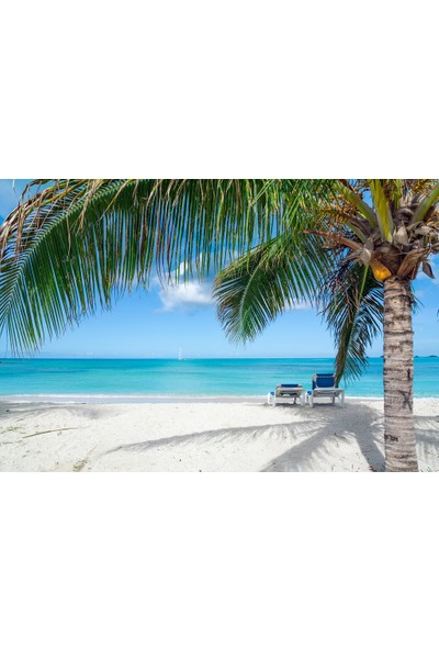 Cici Wallpaper 215 x 150 cm 3 Boyutlu Duvar Kağıdı Poster Cici Wallpaper 215 x 150 cm 3 Boyutlu Duvar Kağıdı Poster