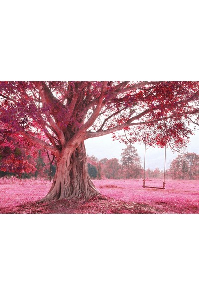 Cici Wallpaper 215 x 150 cm 3 Boyutlu Duvar Kağıdı Poster